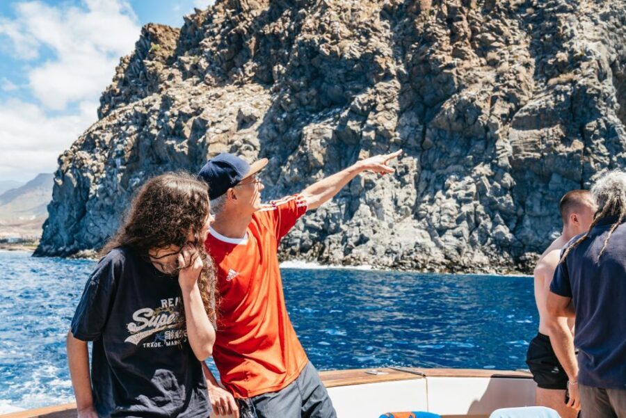 Las Galletas: Whale & Dolphin Tour with Local Skipper - Who Is This Tour Best For?