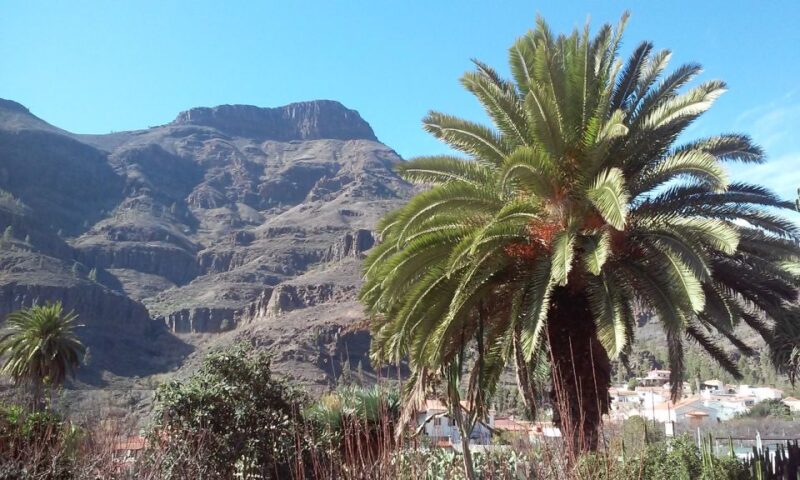 Las Palmas: 8-Hour Gran Canaria Island Highlights Tour - Key Points