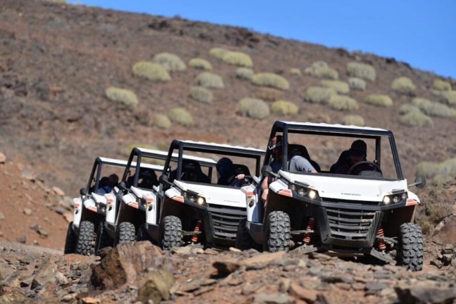 Las Palmas: Gran Canaria Guided Buggy Tour - Who is This Tour Best For?