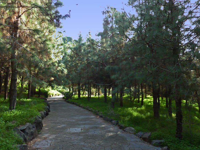 Las Palmas: Privat Botanic Garden Tour & opt. hike Extension - The Value and Practical Aspects