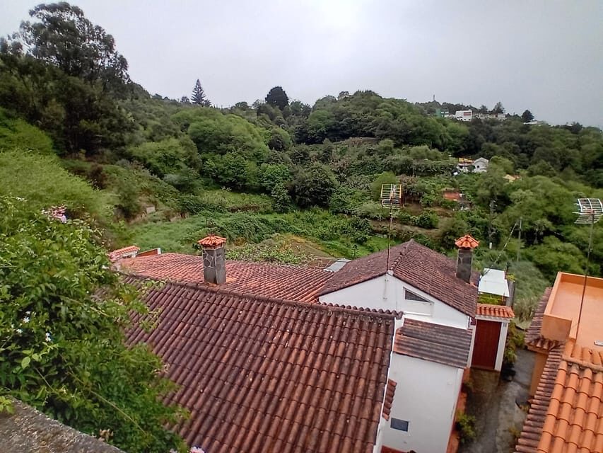 Laurisilva Forest: Hiking and Canarian cider tasting - Final Thoughts