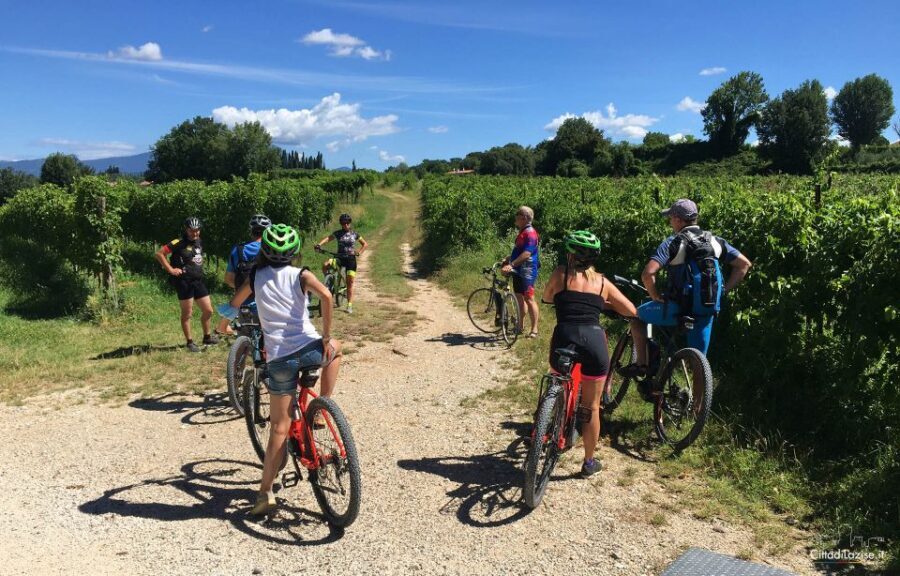 Lazise: Bike Tour and Wine Tasting - Pricing and Value