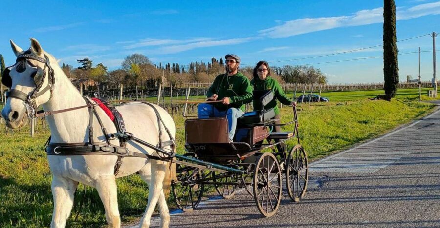 Lazise: horse carriage tour with tasting of local products - Visiting the Beekeeping Farm: A Closer Look at Local Life