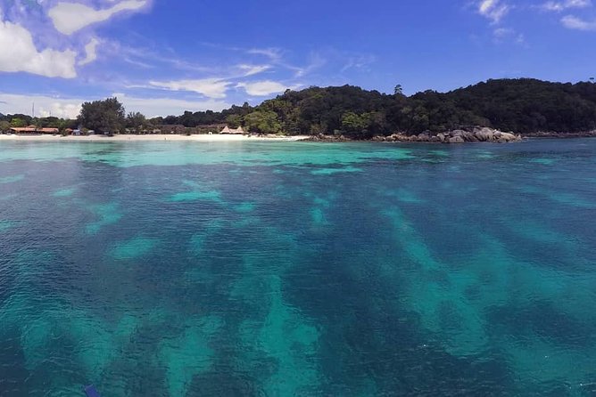 Learn to scuba dive with professional instructors - 3 days - Introduction