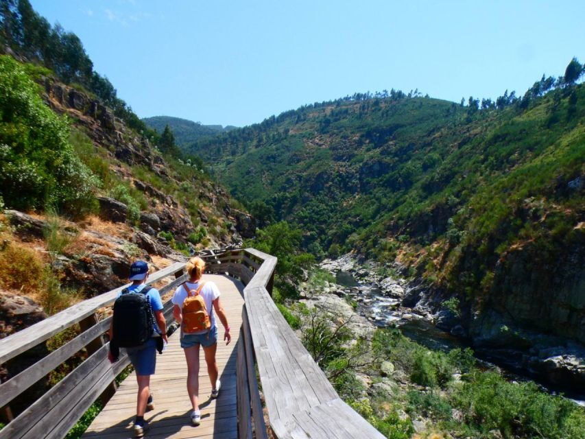 Leave Porto and go hiking in the Paiva Walkways, Arouca - An In-Depth Look at the Tour