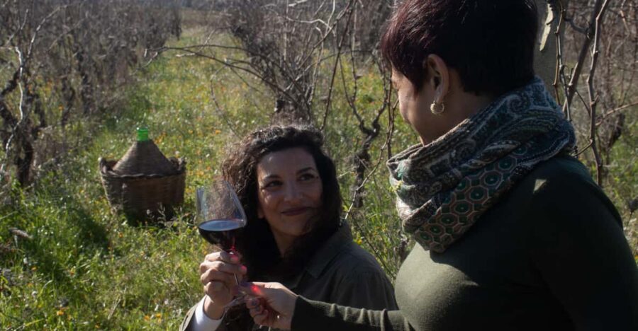 Lecce: wine tasting and authentic rural experience - Who Should Consider This Tour?