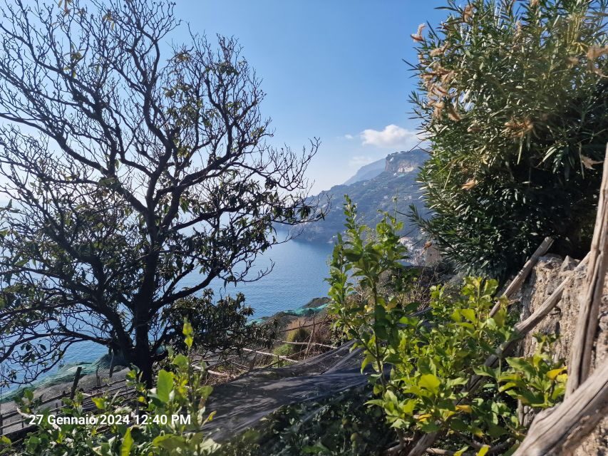 Lemon Path - Amalfi coast - Authentic Experiences and Traveler Feedback