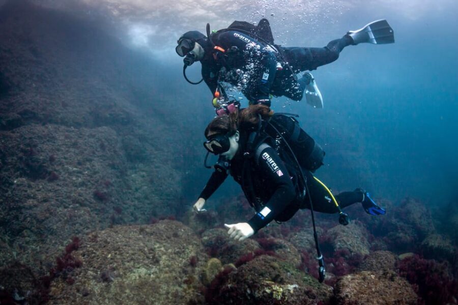 L'Estartit: Dive and Snorkeling in Montgrí Natural Park - The Itinerary: What to Expect