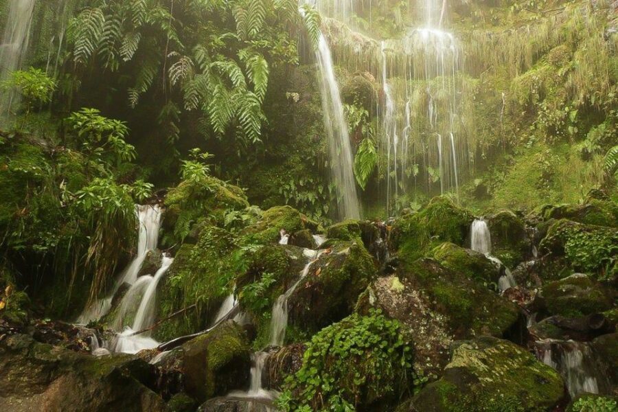 Levada Walk and Caldeirao Verde Waterfalls: Madeira - The Highlight: Caldeirão Verde Waterfall and Picnic Spot
