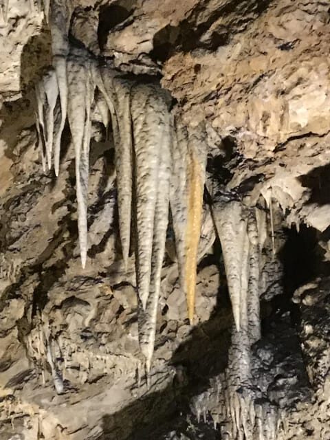 Levigliani: Visit In The Cave Antro del Corchia - Why This Tour Is a Great Value