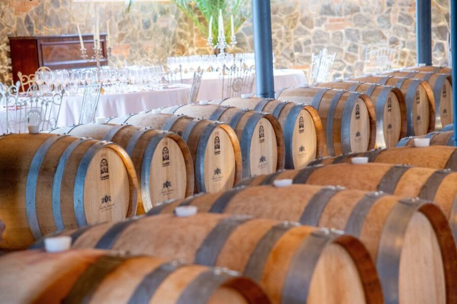 Light Lunch with Wine Tasting - How This Tour Balances Value and Experience