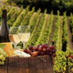 Linguaglossa: Wine Tasting Experience at Etna Nord - What to Expect During the Tour