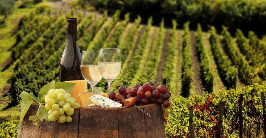 Linguaglossa: Wine Tasting Experience at Etna Nord - What to Expect During the Tour