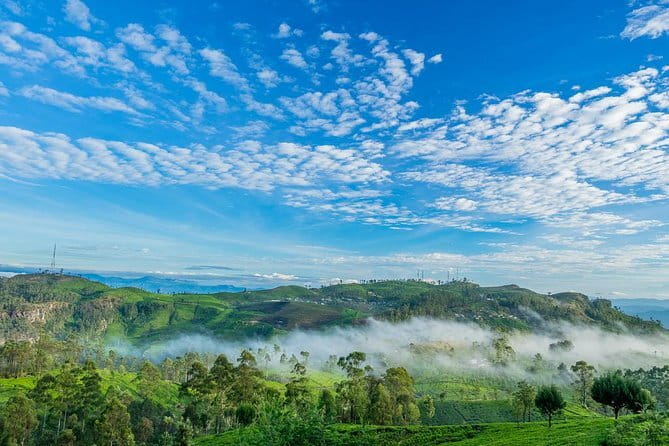Lipton's Seat and Tea Factory,Trail Amidst Tea Plantation Day Tour - A Closer Look at the Lipton’s Seat and Tea Factory Day Tour
