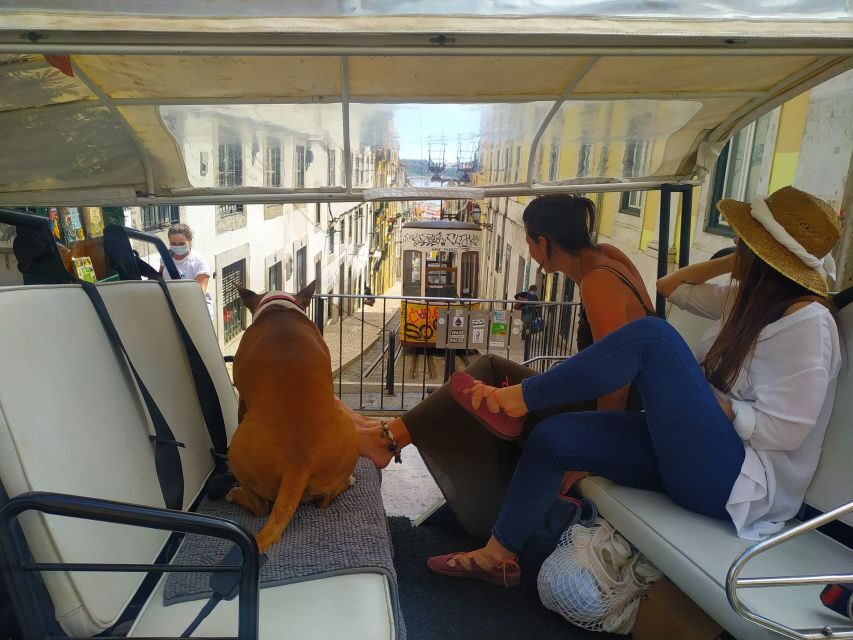 Lisbon: All City Premium Private Guided Tour by Tuk-Tuk - Exploring Lisbons Neighborhoods in Style