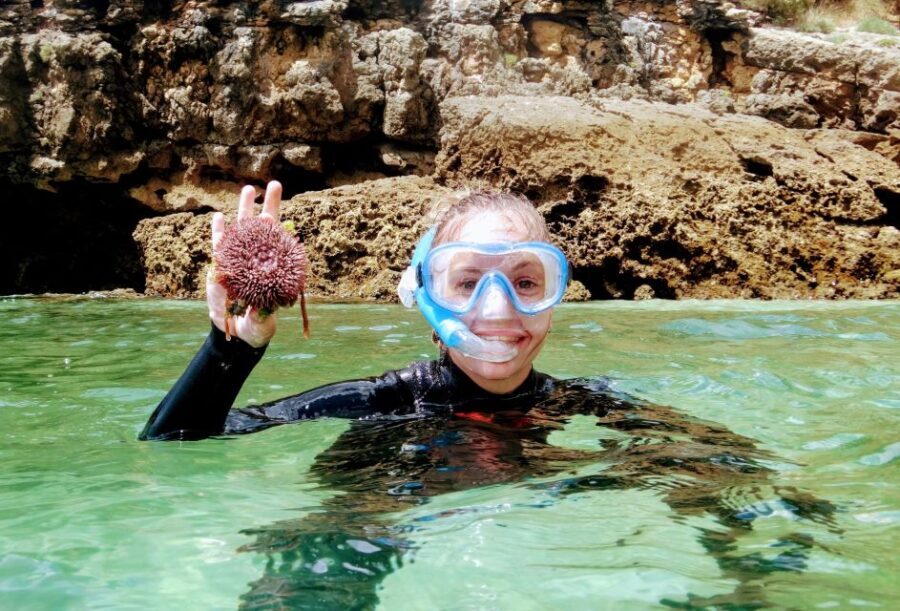 Lisbon: Arrábida Snorkeling Adventure - Who Should Consider This Tour?
