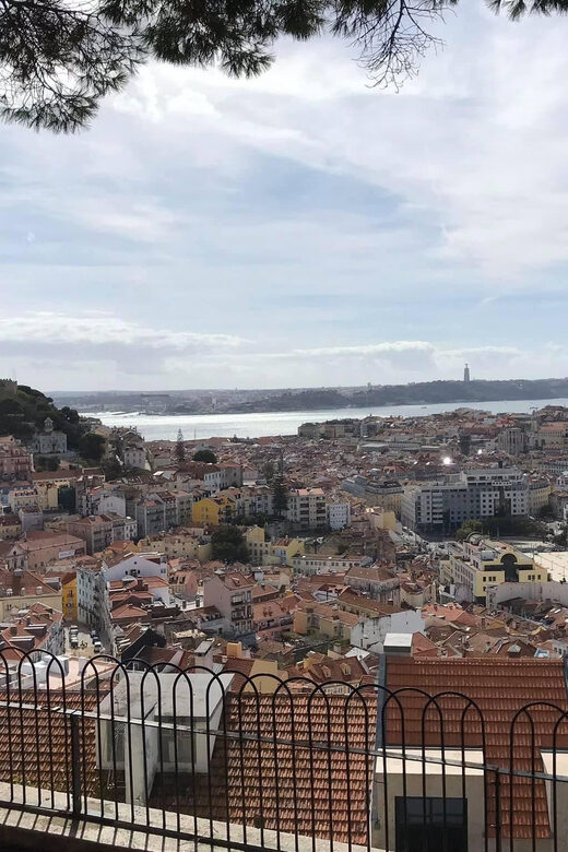 Lisbon City Tour HALF DAY 4h - VAN - Who This Tour Is Best For
