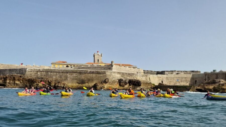 Lisbon: Coast Guided Kayak Tour - Why This Tour Offers Good Value