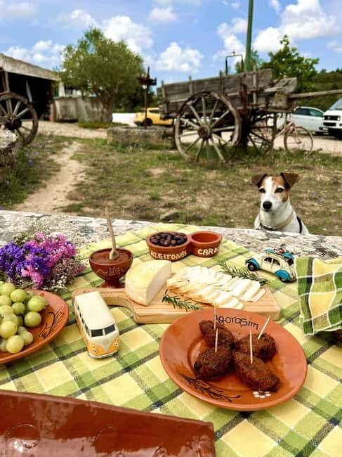 Lisbon Countryside Food Tour on a Vintage Car - Who is this tour best suited for?