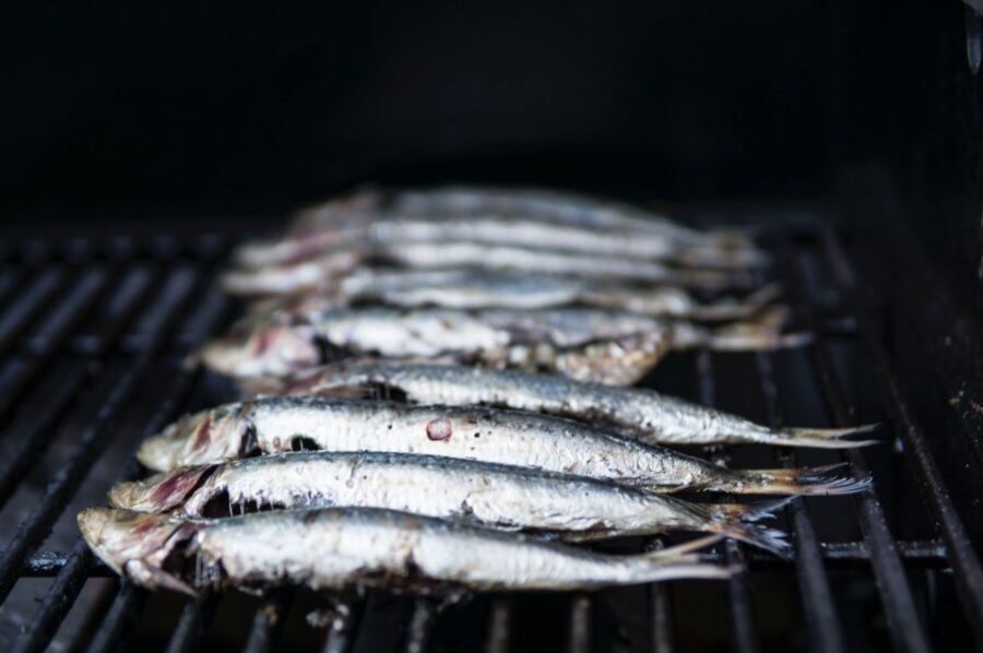 Lisbon: Cruise to the Beach with BBQ, Open Bar and Music - Analyzing the Value
