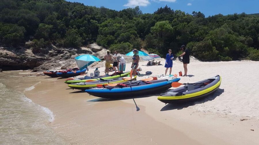 Lisbon: Full-Day Kayak Tour with Picnic and Transfer - Experience in Detail: What to Expect from Start to Finish