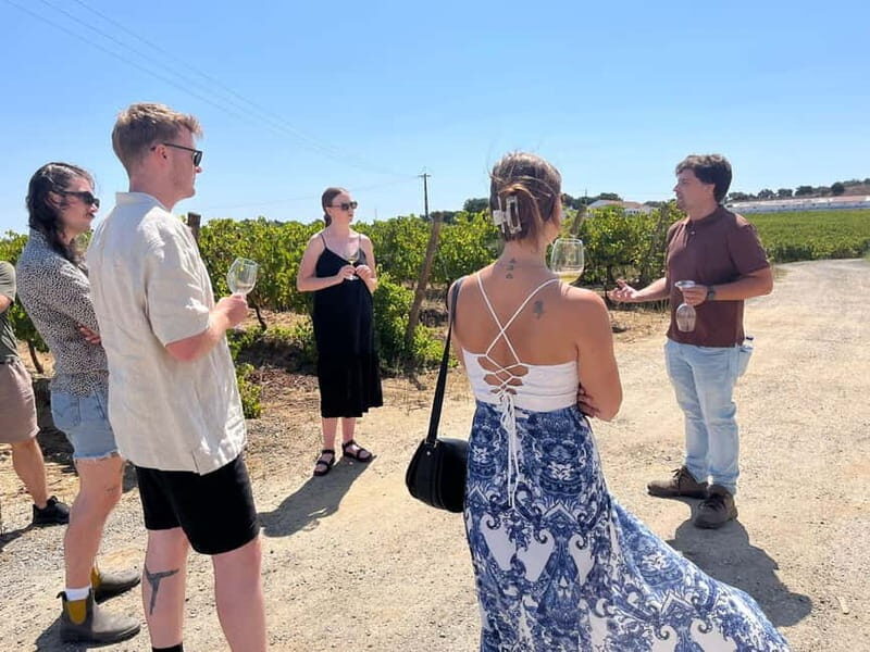 Lisbon: Full-Day Wine Tasting Tour in Setúbal ALL INCLUSIVE - A Deep Dive into the Experience