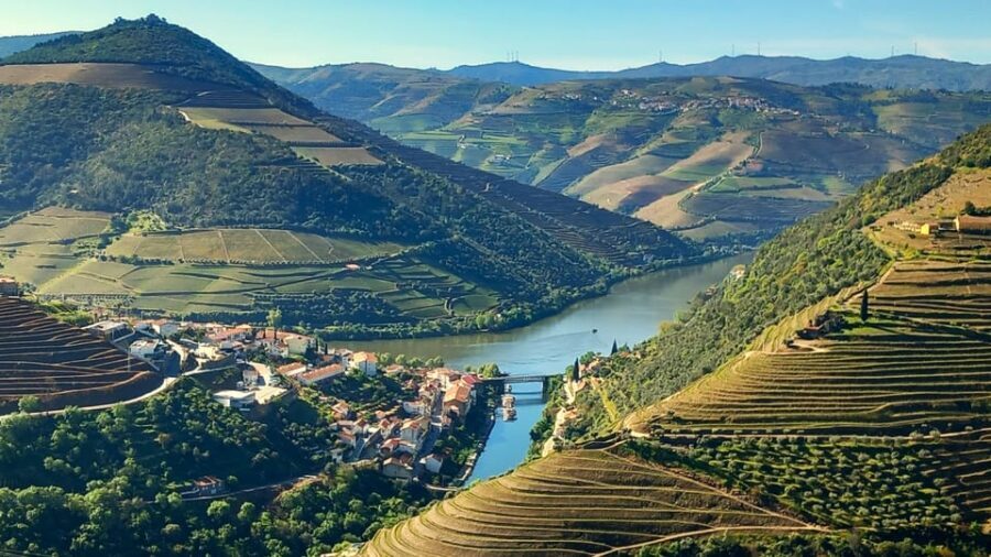 Lisbon: One Way to Douro Valley through Coimbra and Obidos - What’s Included and What You Should Prepare For