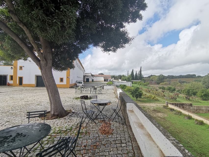Lisbon: Private Tour Evora with Wine Tasting at the Cartuxa - Practical Tips for Your Day Trip