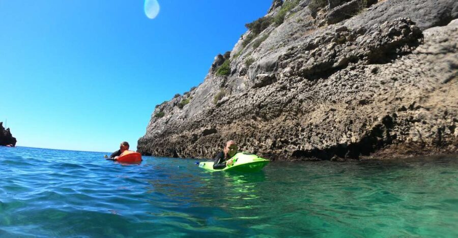 Lisbon: Sesimbra Underwater Exploration by Seaview Board - The Underwater Environment