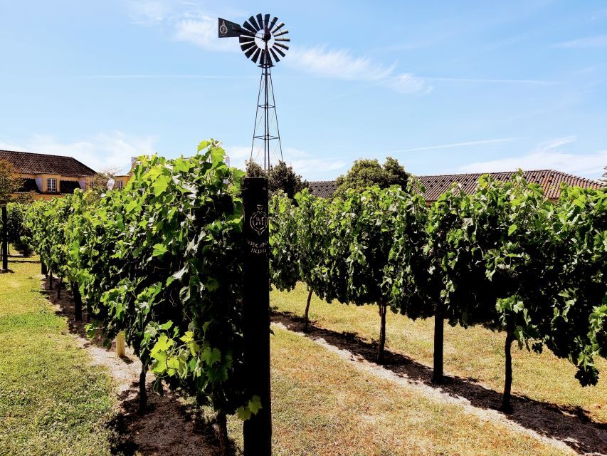 Lisbon: Surf or Bodyboard and Wine Tasting - A Practical Guide to the Lisbon: Surf and Wine Tour