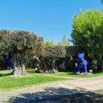 Lisbon to Wine Tasting Setubal, Two Cellars, Half Day Tour - The Itinerary: What to Expect