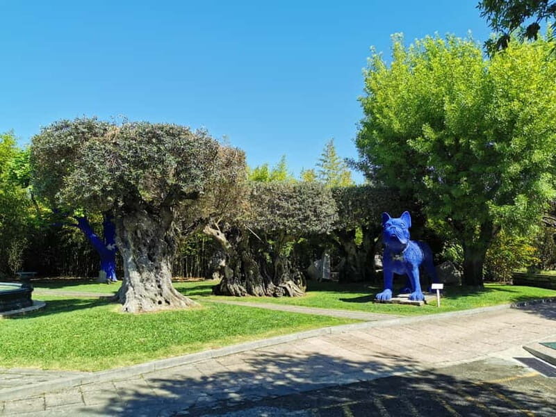 Lisbon to Wine Tasting Setubal, Two Cellars, Half Day Tour - The Itinerary: What to Expect