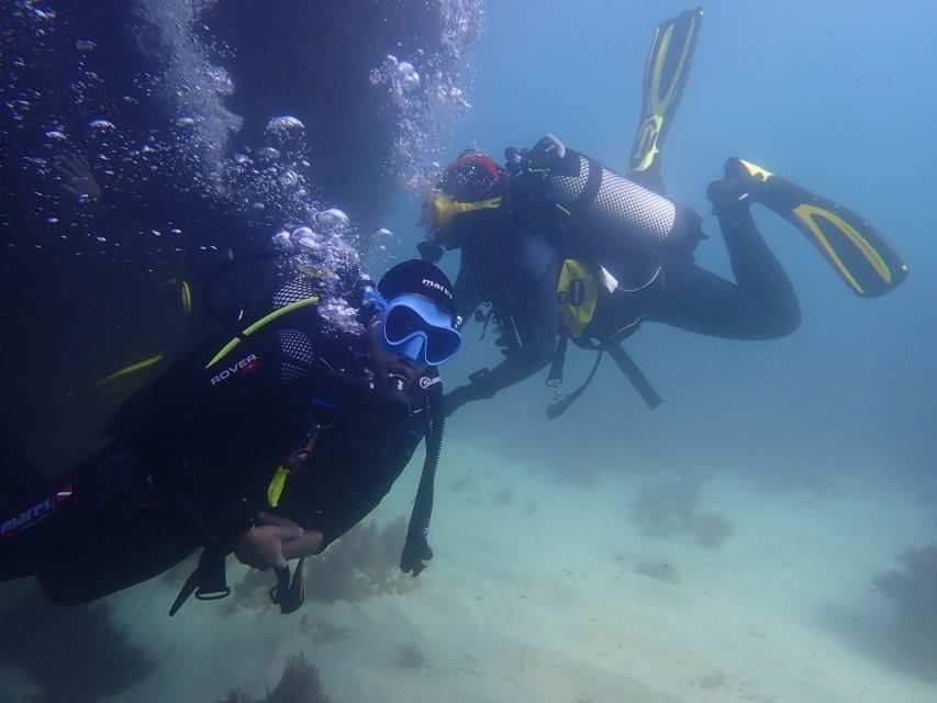 Lisbon: Try Dive in Arrábida Marine Reserve Setubal Sesimbra - The Highlights of the Experience