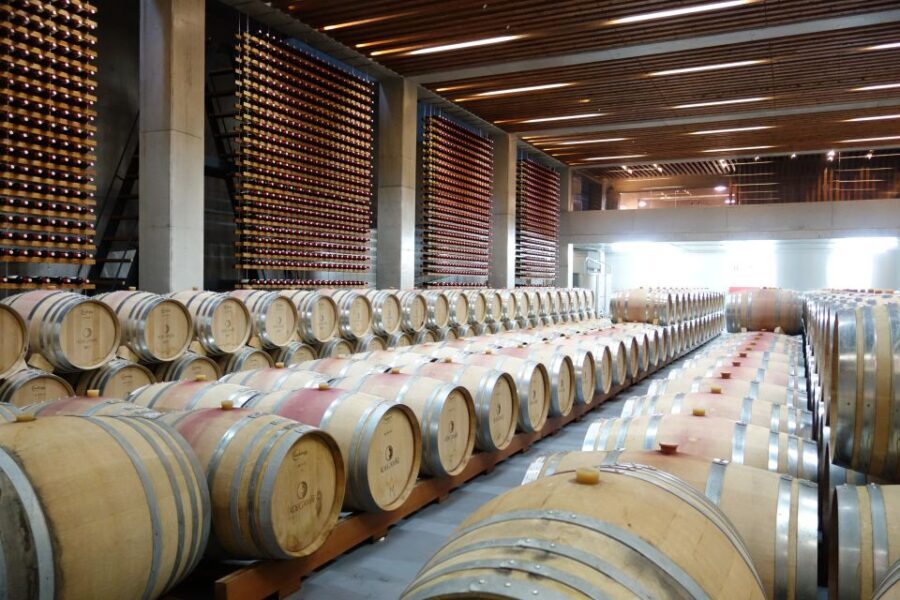 Lisbon Wine Tasting Private Tour - An In-Depth Look at the Lisbon Wine Tasting Private Tour