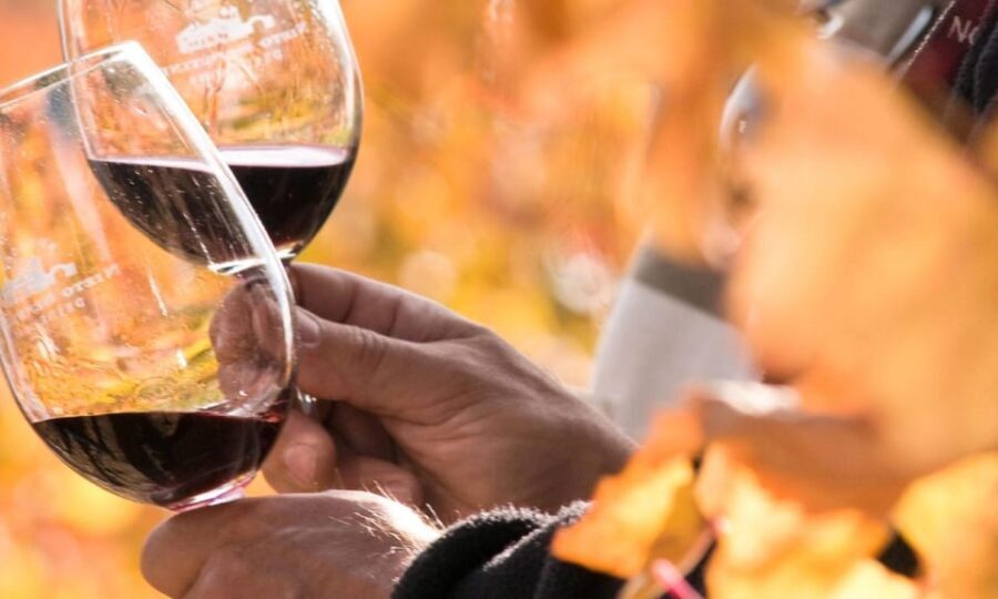 Lisbon Wine Tasting - Practical Details for Travelers