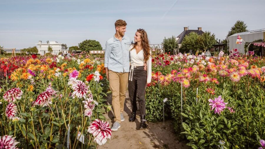 Lisse: Drive-it-Yourself Summer Flower GPS Audio Tour - Who Would Love This Tour?