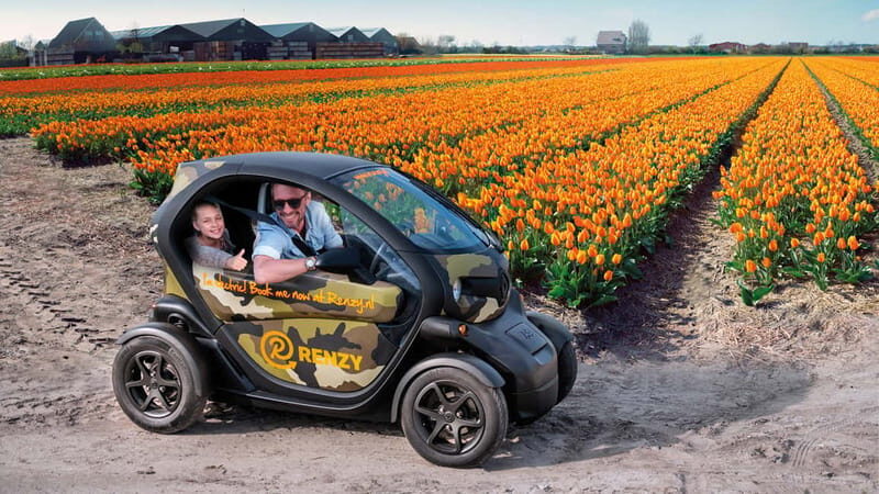 Lisse: Self-Guided Tulip Fields GPS Audio Tour - An In-Depth Look at the Tulip Fields GPS Tour