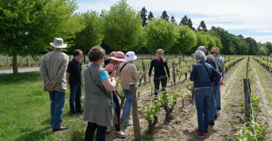 Loire Valley Tour & Wine Tasting Vouvray, Chinon, Bourgueil - What Makes This Tour Special?