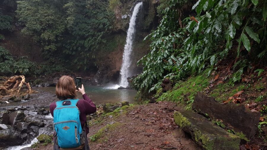 Lomba de São Pedro: Waterfall Hiking Tour with Tea Tasting - The Value of This Experience