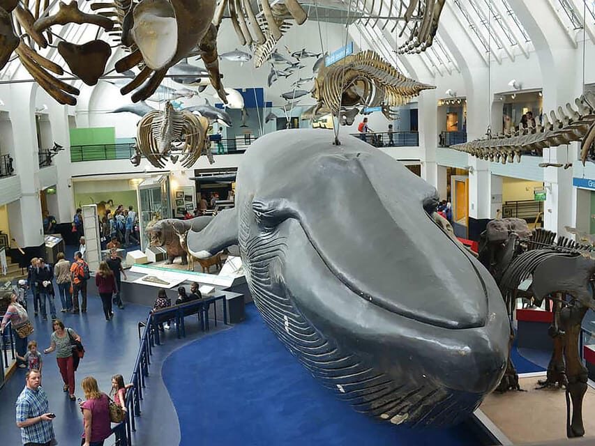 London: Guided Tour of Natural Marvels - What Makes This Tour Stand Out?