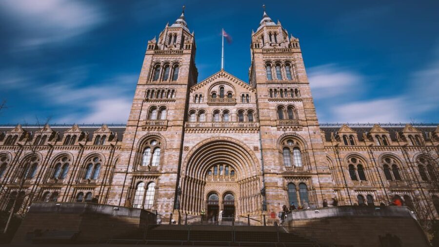 London: Guided Tour of the Natural History Museum - The Value for Travelers