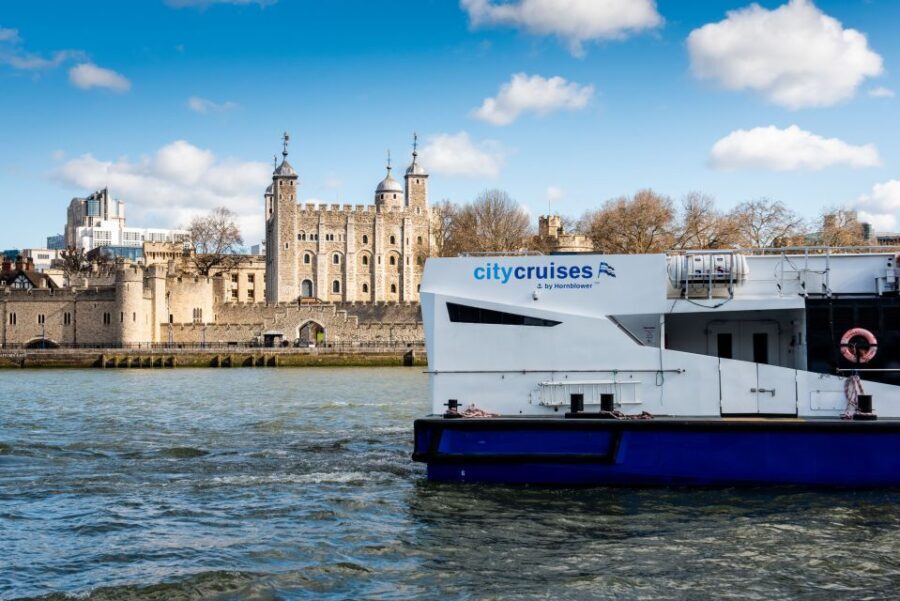 London: Harry Potter Walk, Hop-on Hop-off Bus Tour & Cruise - Authentic Experiences and Practical Tips