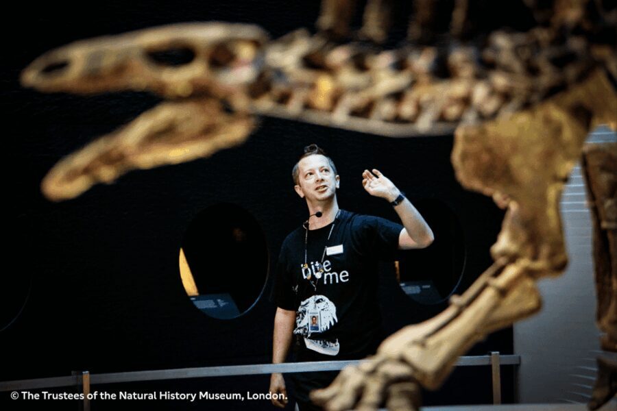 London: Natural History Museum Guided Tour & Afternoon Tea - Who Would Love This Experience?