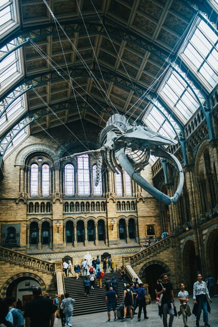 London: Natural History Museum Guided Tour - The Experience: Pros and Cons