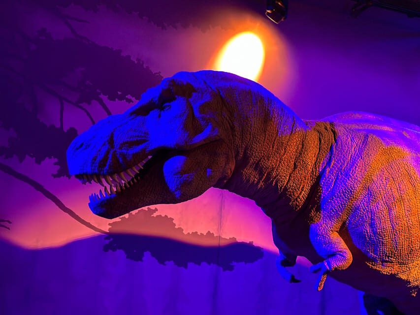 London: Natural History Museum Private Guided Tour - Overview of the Experience