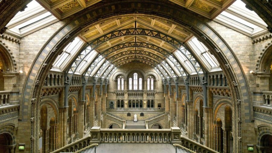 London: Natural History Museum Tour - Who Will Love This Tour?