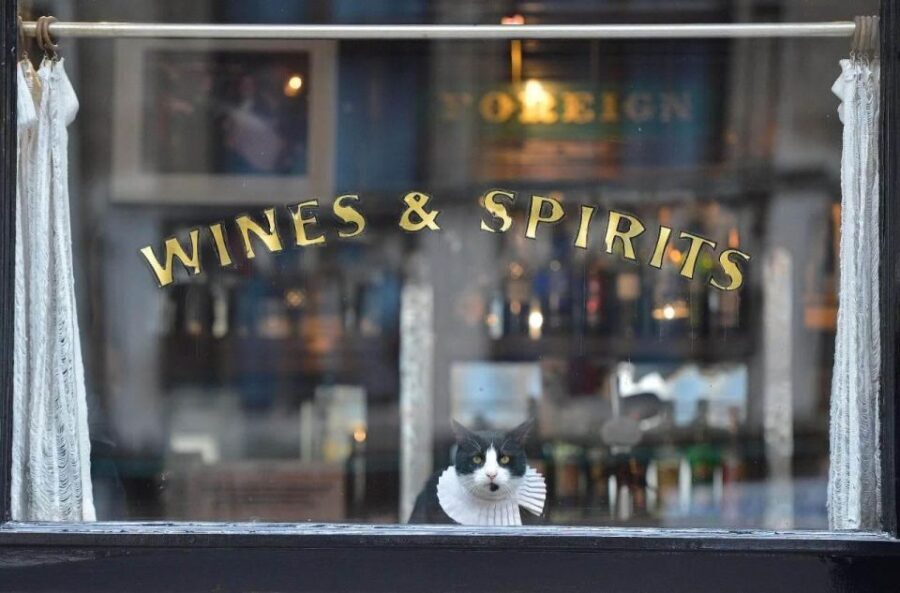 London: Private Secret Pub Walking Tour + beer all inclusive - The Sum Up: Is it Worth It?