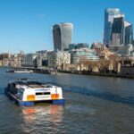 London River Thames Lunch Cruise - Authentic Feedback from Travelers
