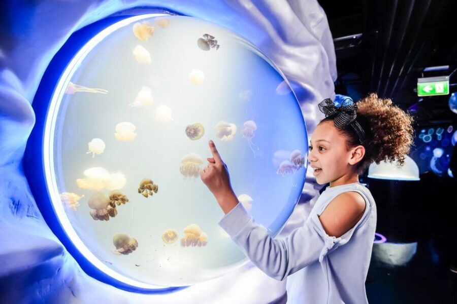 London: SEA LIFE Entry Ticket - Practical Details and Tips for Visitors