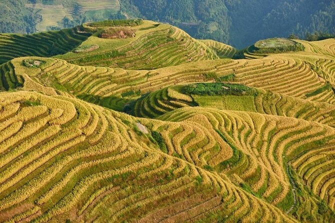 Longji rice terraces & minority villages private day tour - Key Points